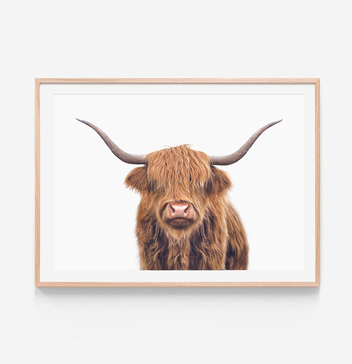 Highland Cow Print, Cow Printable Wall Art, Digital Download, Bull Cow ...