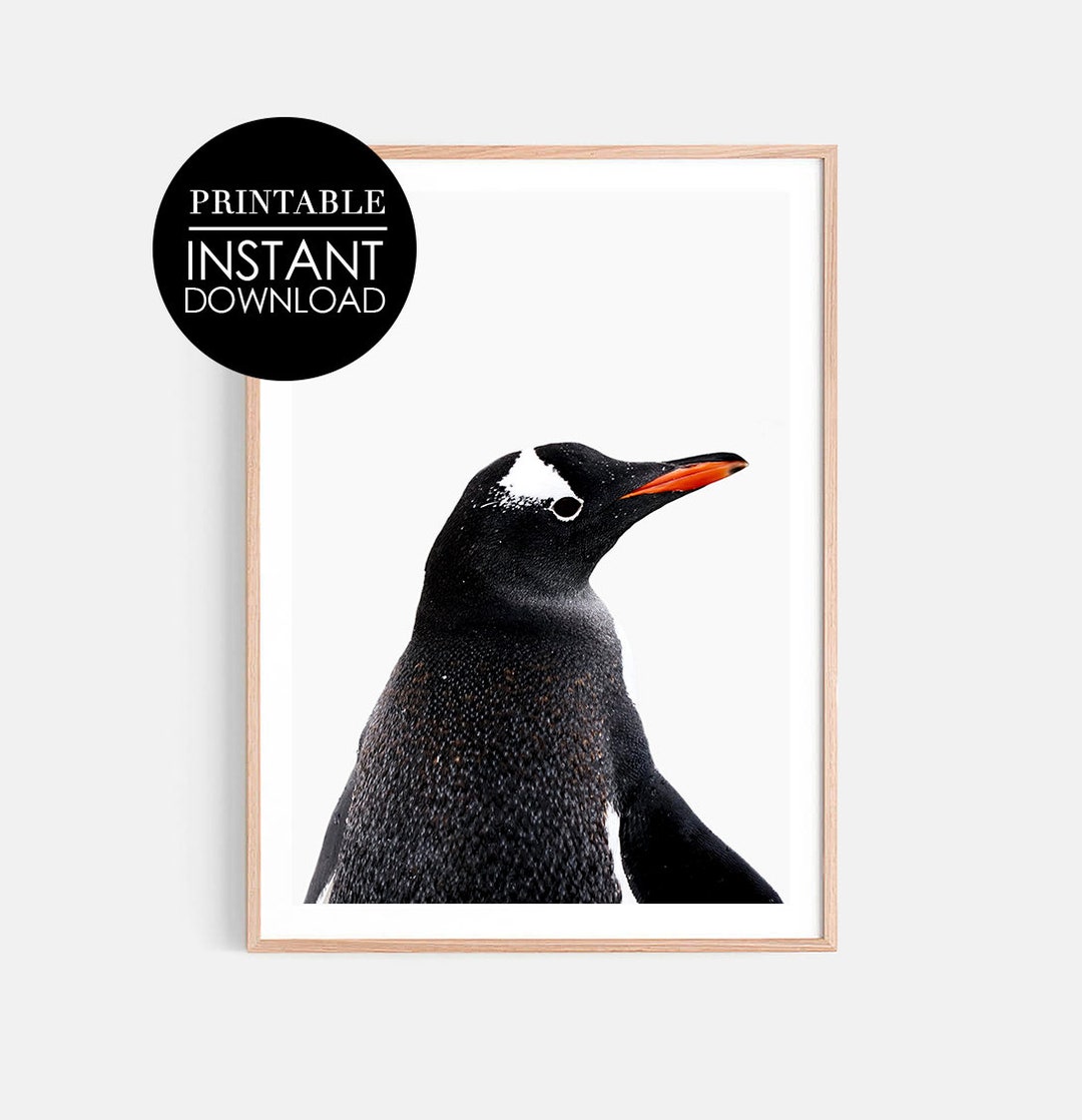 Penguin Digital Print, Penguin Art, Nursery Print, Printable Wall Art ...