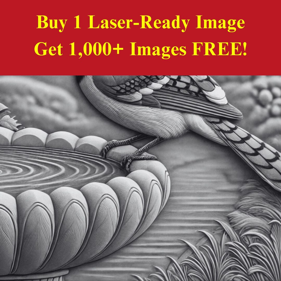 Blue Jay Bird Image Laser Burn Slate File | Garden Nature Wildlife ...