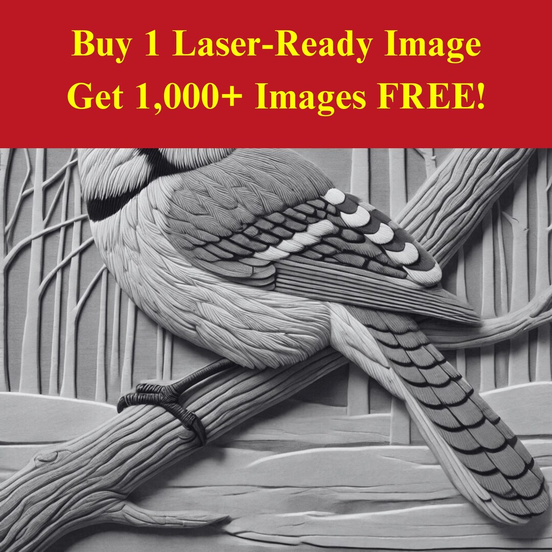 Blue Jay Bird Image Laser Burn Slate File | Forest Branch Winter ...