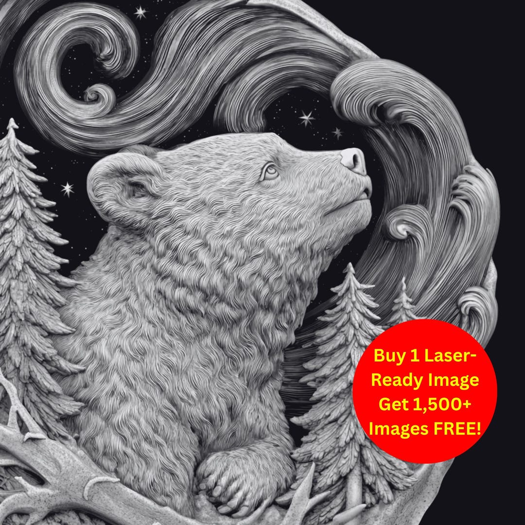 Bear Looking at Night Sky Bas Relief 3D Illusion Laser Engraving PNG ...