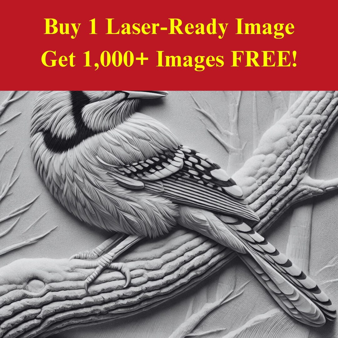 Blue Jay Image Laser Burn Slate File | Bird Branch Nature Digital ...