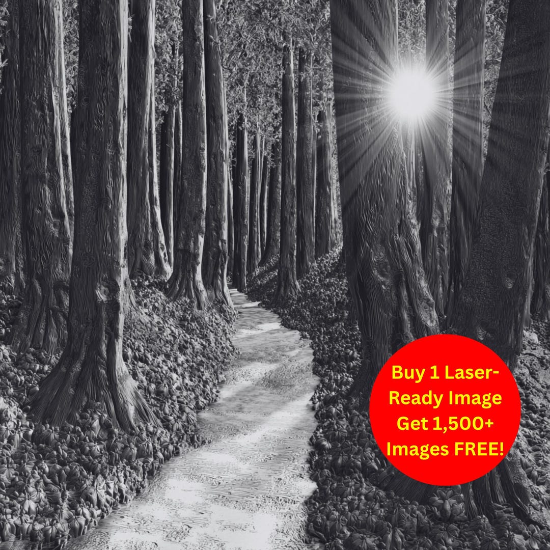 Forest Path With Sun Rays Laser Engraving PNG | Woodland Trail Nature ...