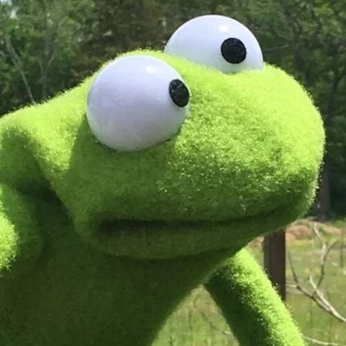 Custom Professional Puppet Professional Frog Hand Puppet - Etsy