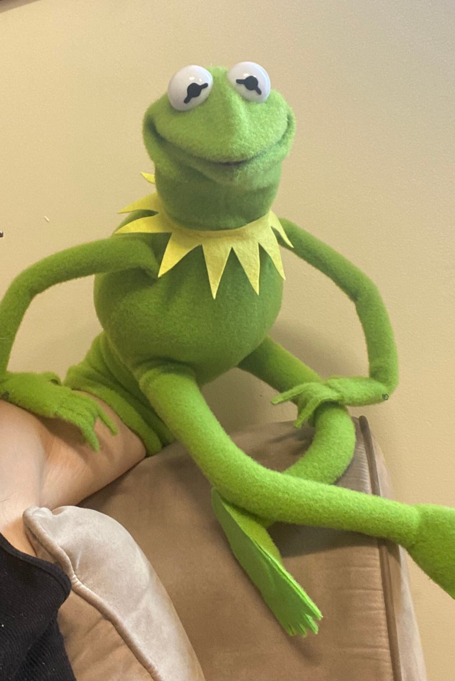 Kermit The Frog Puppet Jim Henson Muppets Kermit Replica, 46% OFF