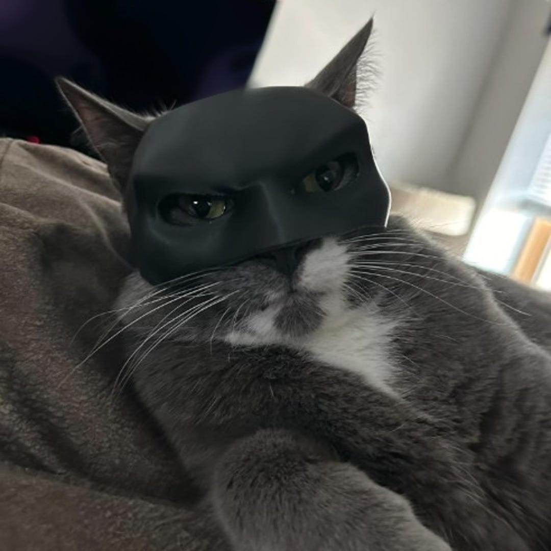 Cat Bat Mask: Pet Costume for Cats and Small Dogs - Etsy