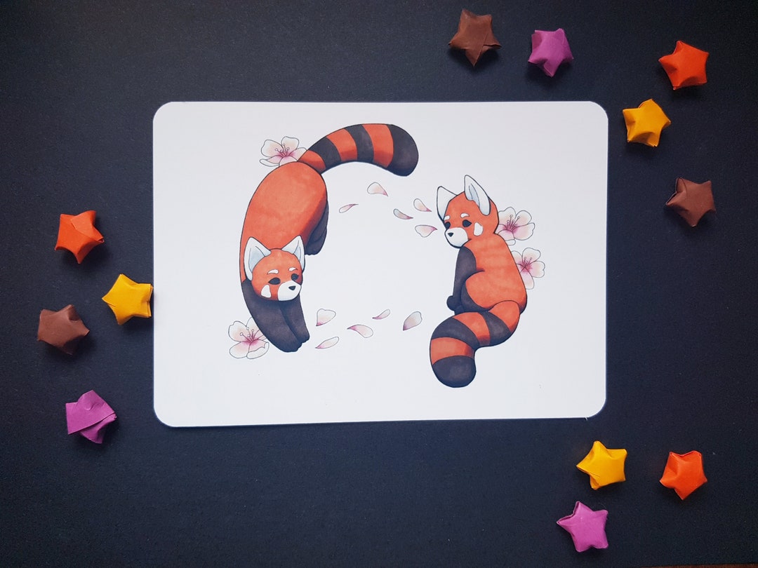Red Pandas With Cherry Blossom Postcard - Etsy