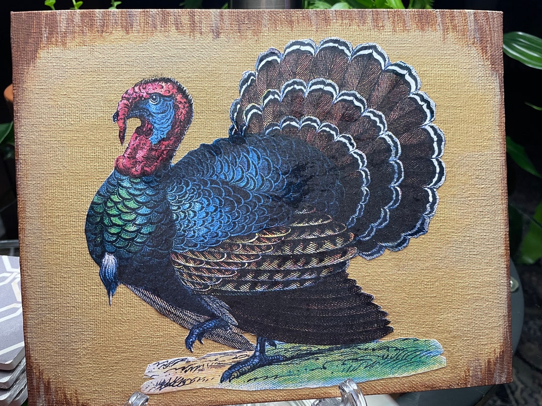 Farmhouse Country Turkey Wall Art on 8in X 10in Canvas Board ...