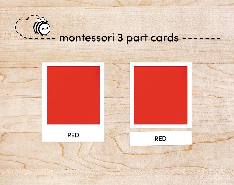 Colors Flashcards Montessori 3 Part Cards Printable Color - Etsy