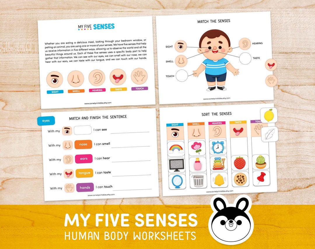 Five Senses Toddler Busy Book, 5 Senses Pre-k Activity, Human Body ...
