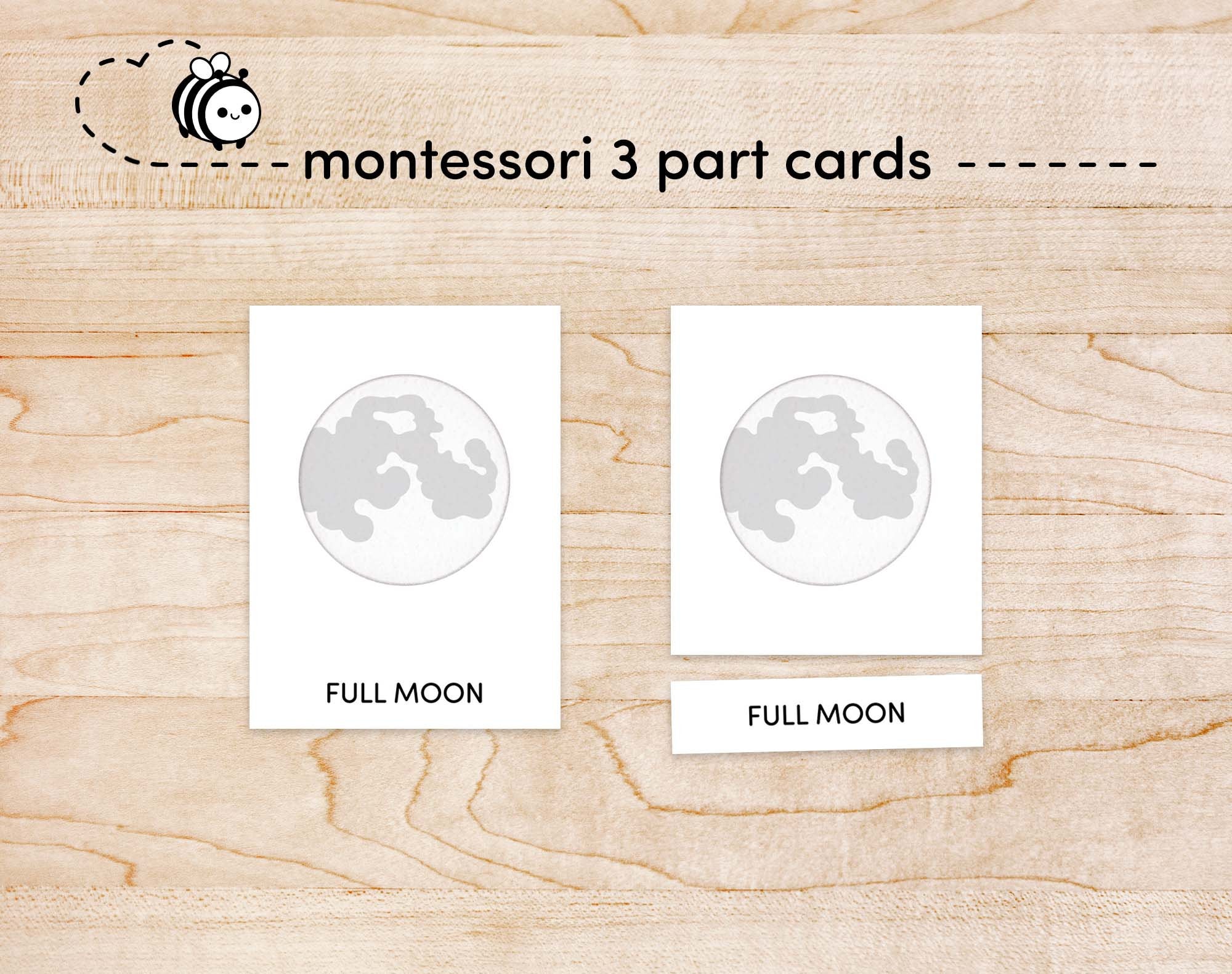 Moon Phases Worksheet, Educational Moon Unit Study, Moon Phases Poster ...