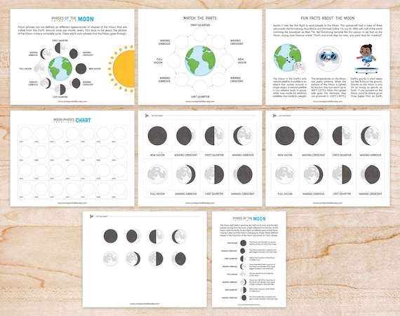 Hojas De Trabajo Sobre Las Fases Lunares Fases Luna