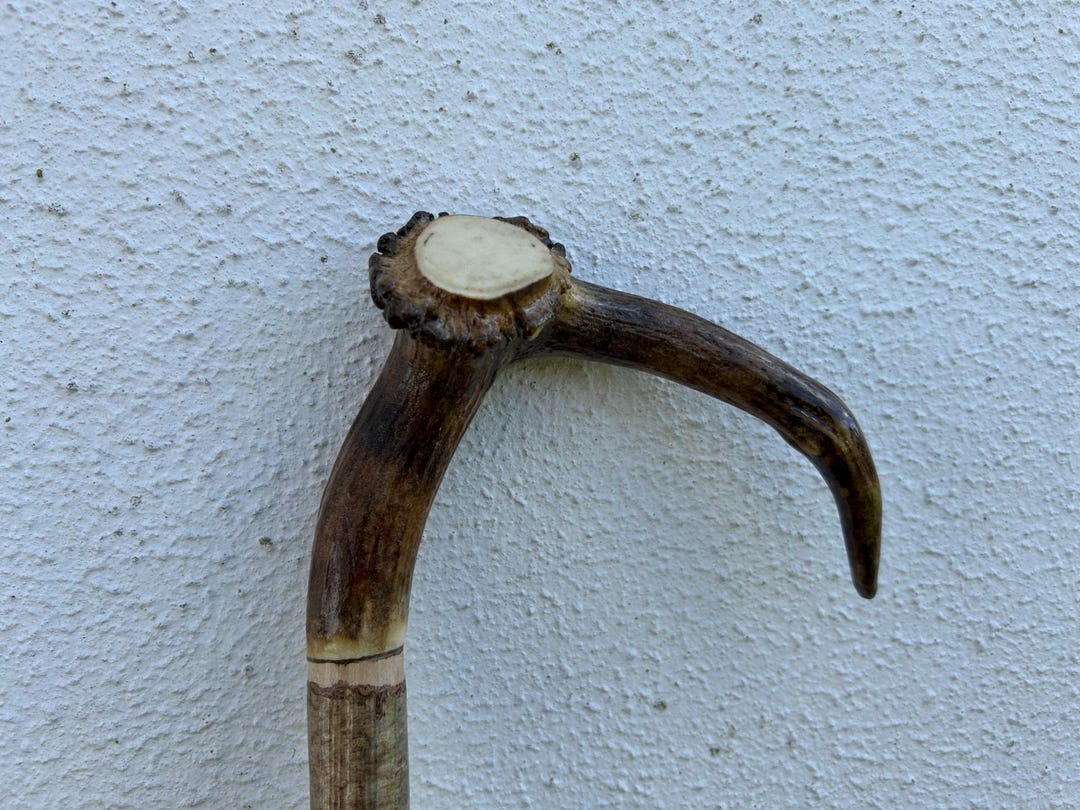 Traditional Country Stick With a Genuine Roe Deer Antler Topper. - Etsy