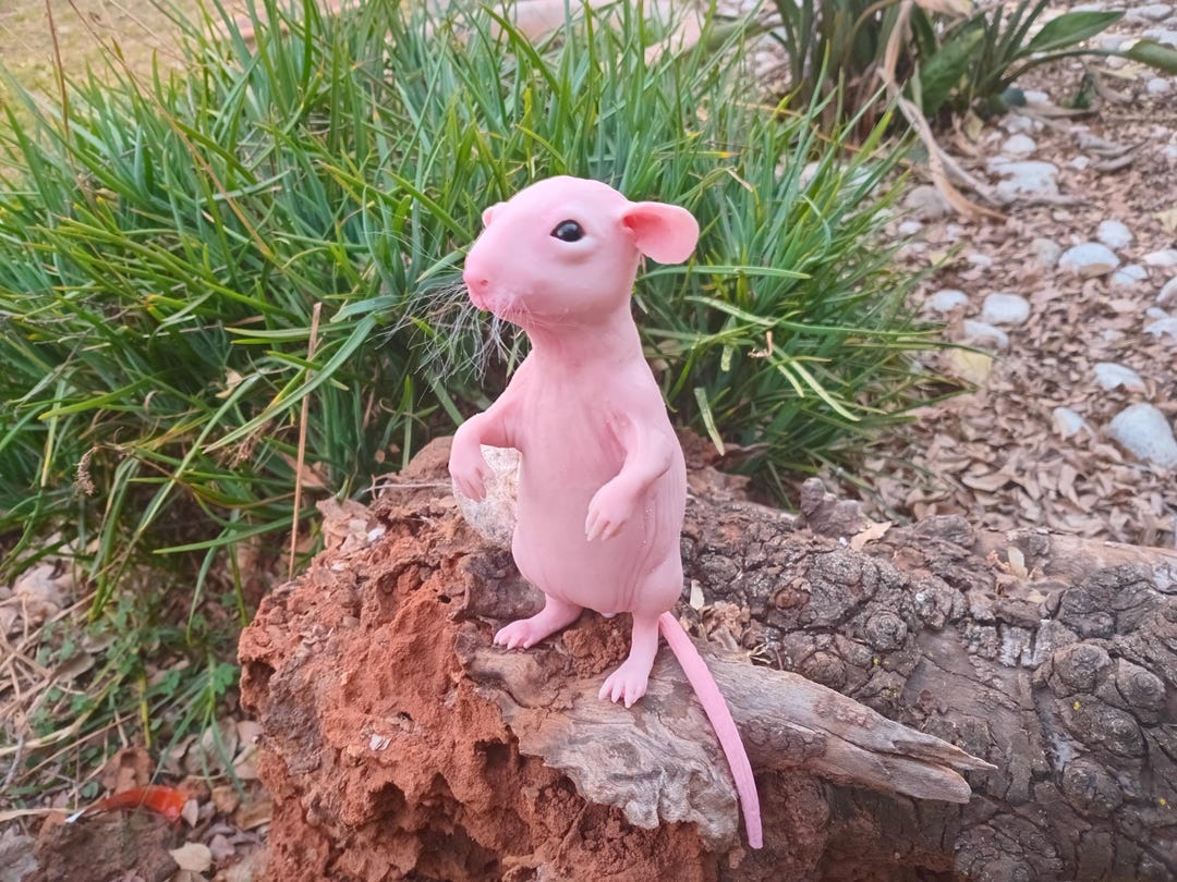 Nicholas – OOAK Silicone Hairless Rat Sculpture – Realistic Art Doll ...