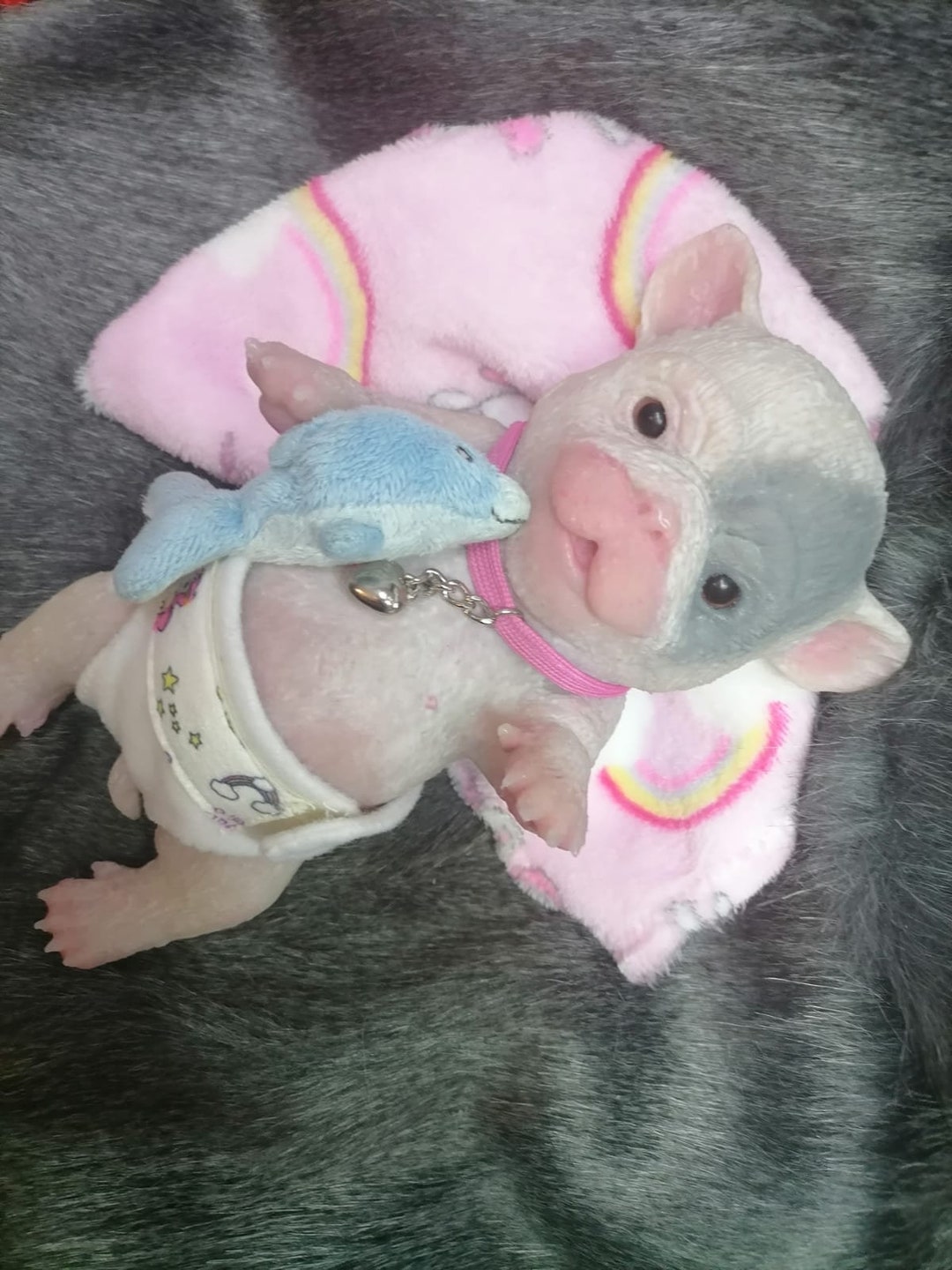 ROLO: Full Body Silicone French Bulldog Puppy - Etsy