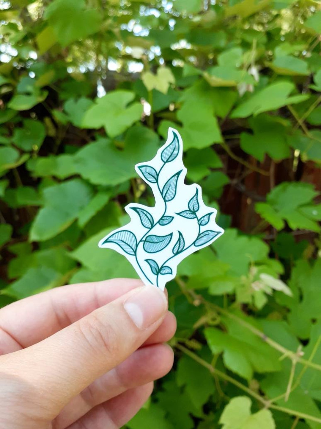 Vine Vinyl Sticker: Waterproof Plant Decal for Laptop or Water Bottle ...