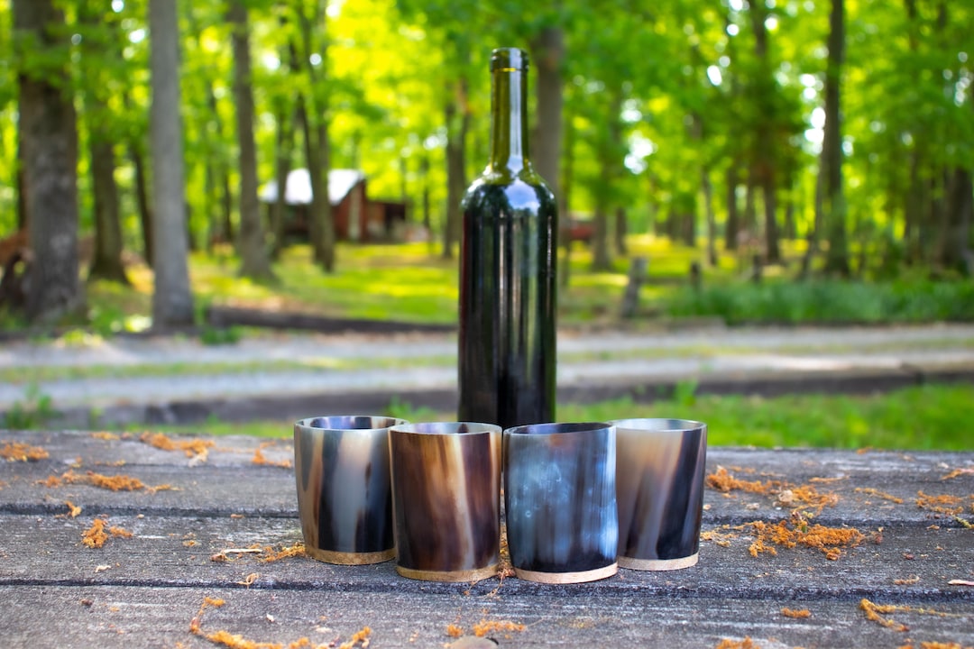 Genuine Handmade Viking Drinking Horn Shot Glass (set of 4) - Etsy