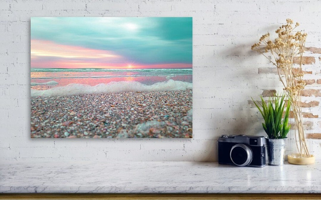 Shells Canvas Wall Art, Beach Canvas Print, Shells Canvas Print for ...
