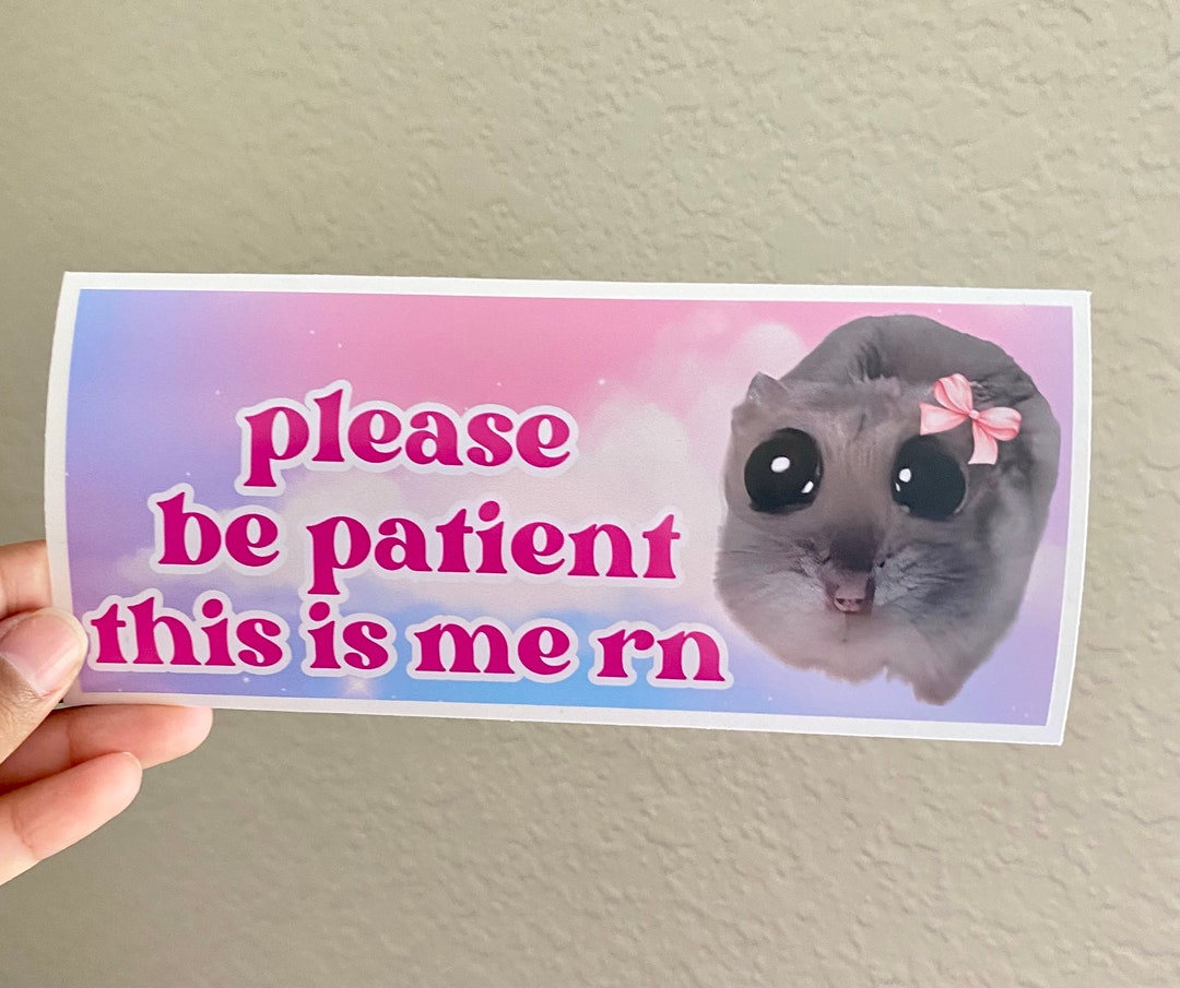 Sad Hamster Please Be Patient Bumper Sticker, Hamster Meme Car Decal ...