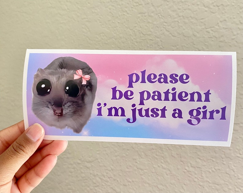 Im Just a Girl Hamster Bumper Sticker, Hamster Meme Car Decal Sticker ...