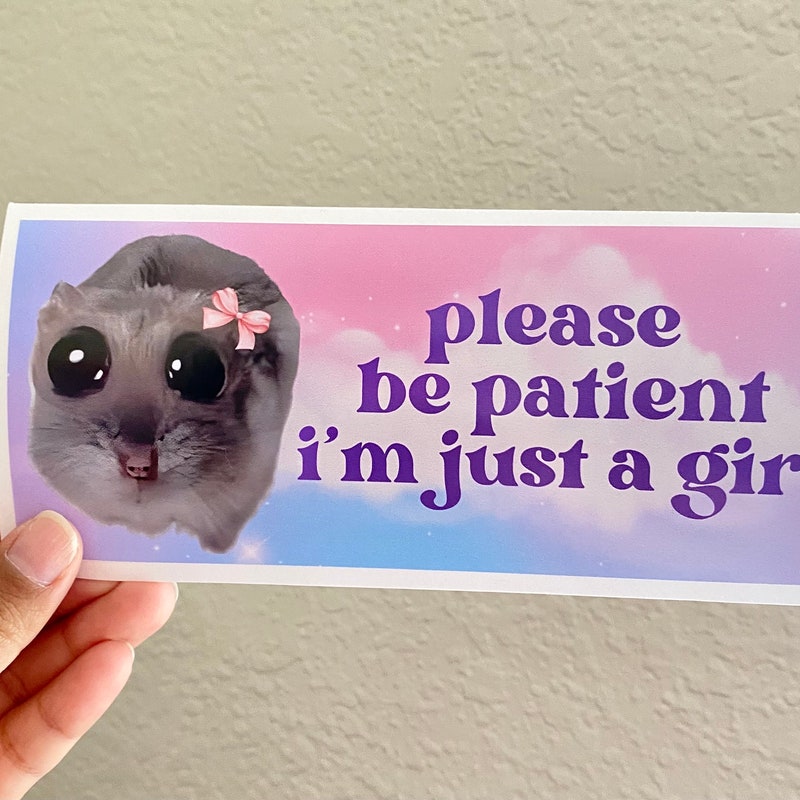Hamster Meme Stickers - Etsy