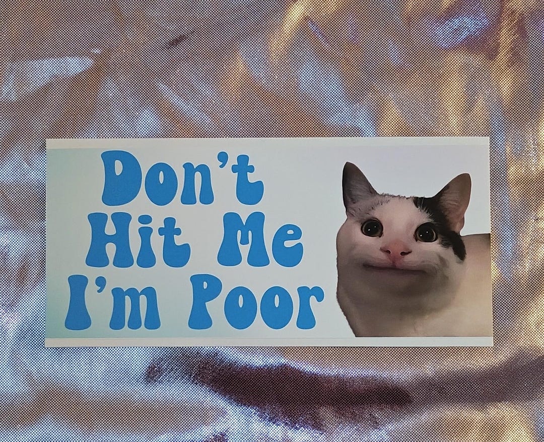 Don't Hit Me I'm Poor Bumper Sticker, Funny Car Sticker Decal - Etsy