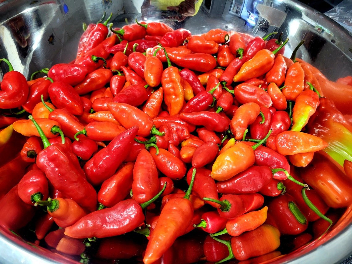 Guyana Tiger Teeth Pepper Seeds (organically Grown) - Etsy