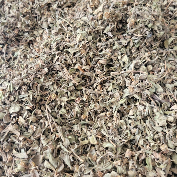 Guyanese Fine Leaf Thyme - Etsy