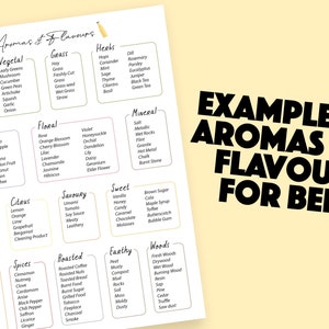 Beer Tasting Guide: Beer Tasting Notes | Beer Aromas & Beer Flavour ...