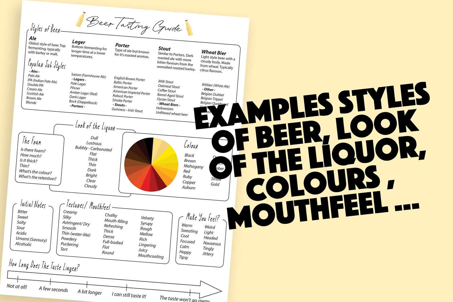 Beer Tasting Guide: Beer Tasting Notes | Beer Aromas & Beer Flavour ...