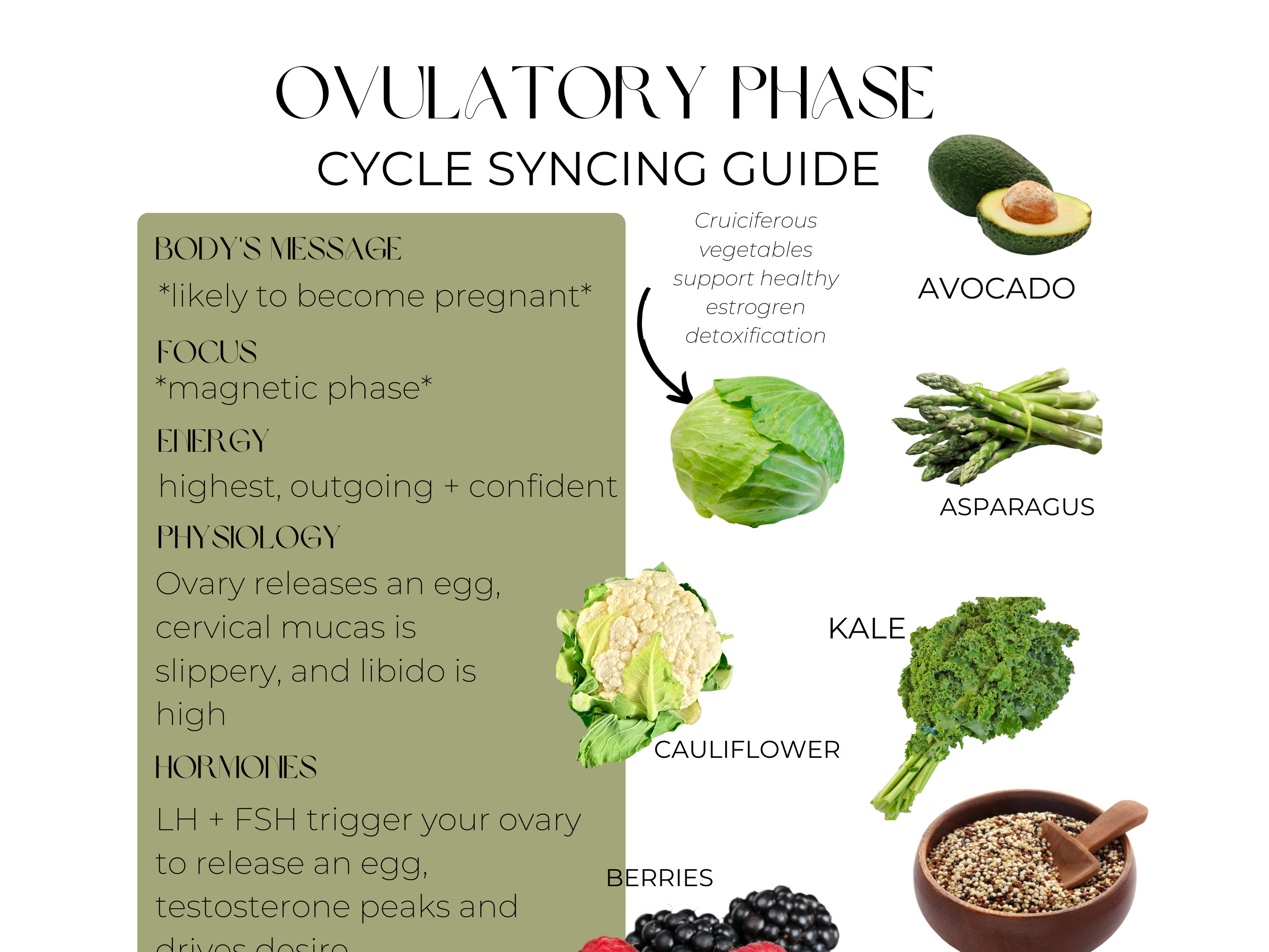 Hormone Balancing Meal Plan for Women Cycle Syncing & PMS Symptom ...
