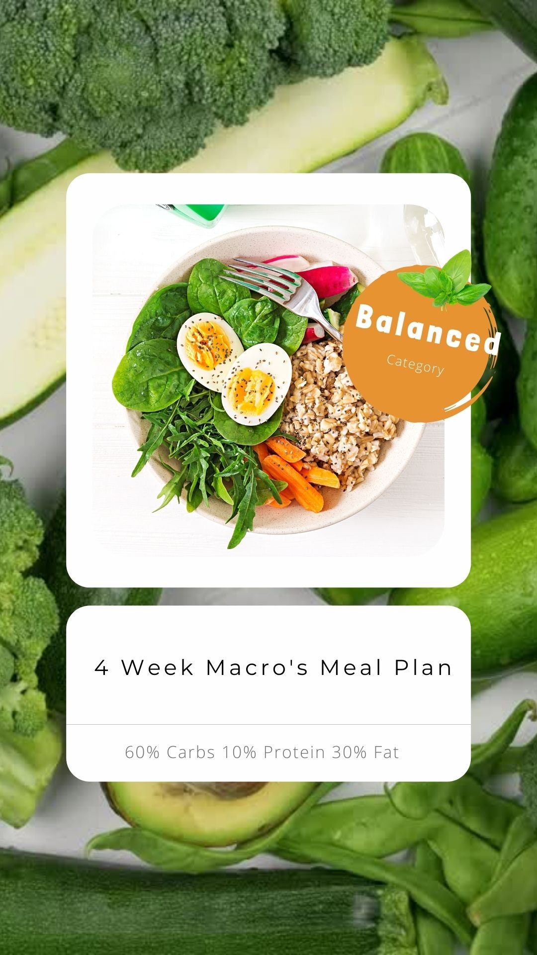 Macro's Balanced Meal Plan - Etsy