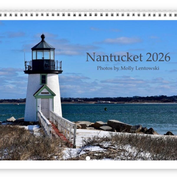 Beach Desk 2026 Calendars - Etsy