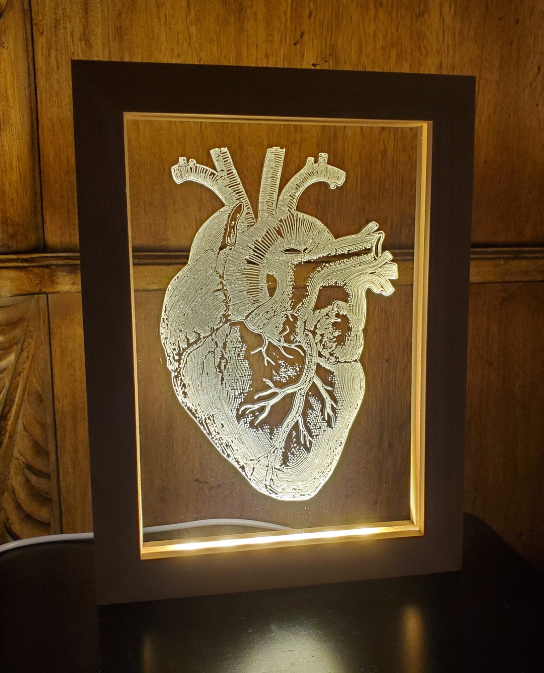 Anatomical Heart Framed LED Lighted Acrylic Plaque, Medical Office ...