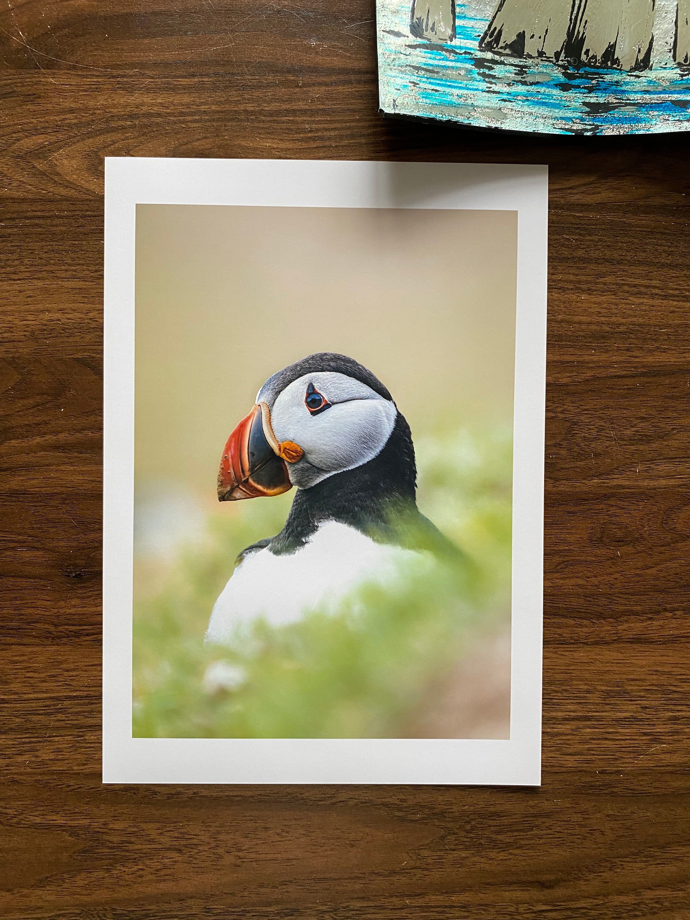 Atlantic Puffin Portrait Print/poster/wall Art/home Decor - Etsy