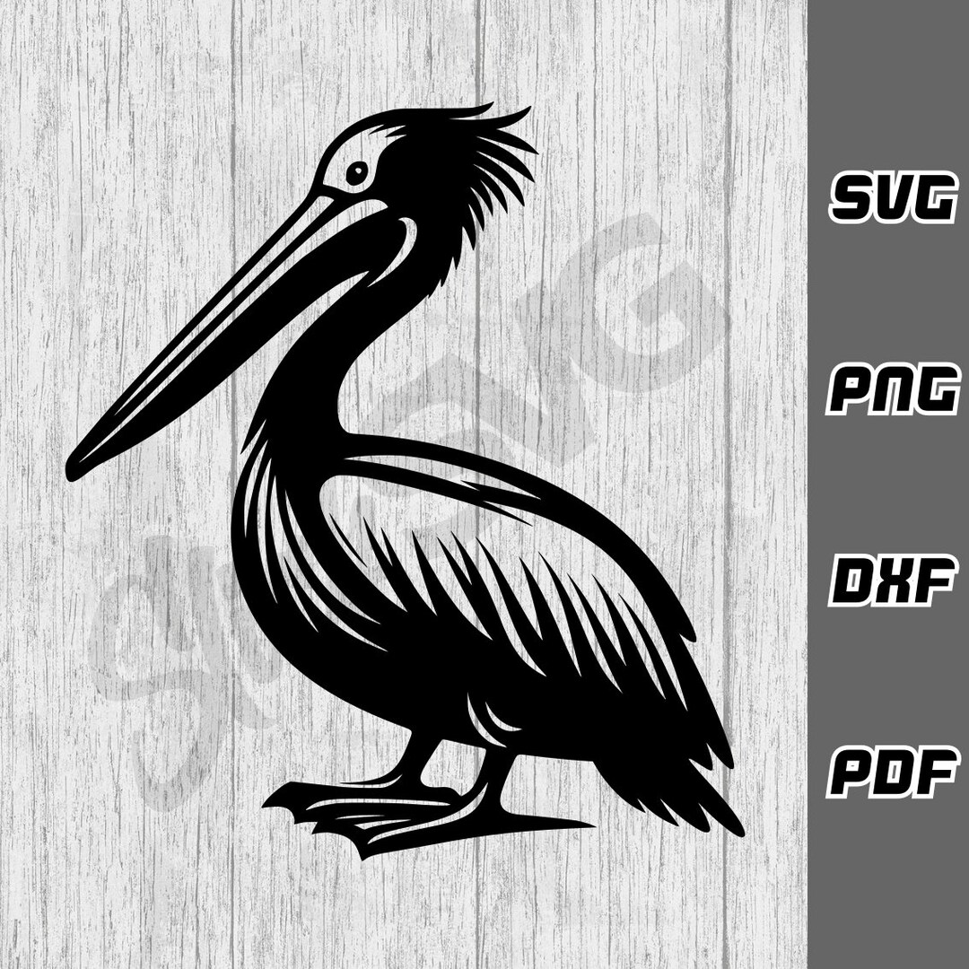Pelican SVG - Png - Dxf - Pdf - Cricut Cut File - Bird Svg - Silhouette ...