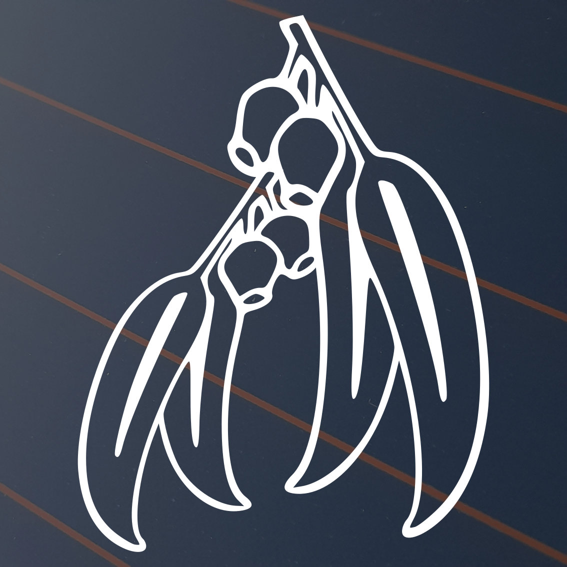 Gumnut Leaves SVG Png Dxf Pdf Cricut Cut File Cut - Etsy Australia