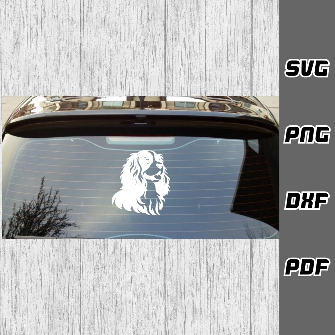Cavalier King Charles Spaniel SVG - Png - Dxf - Pdf - Cricut Cut File ...