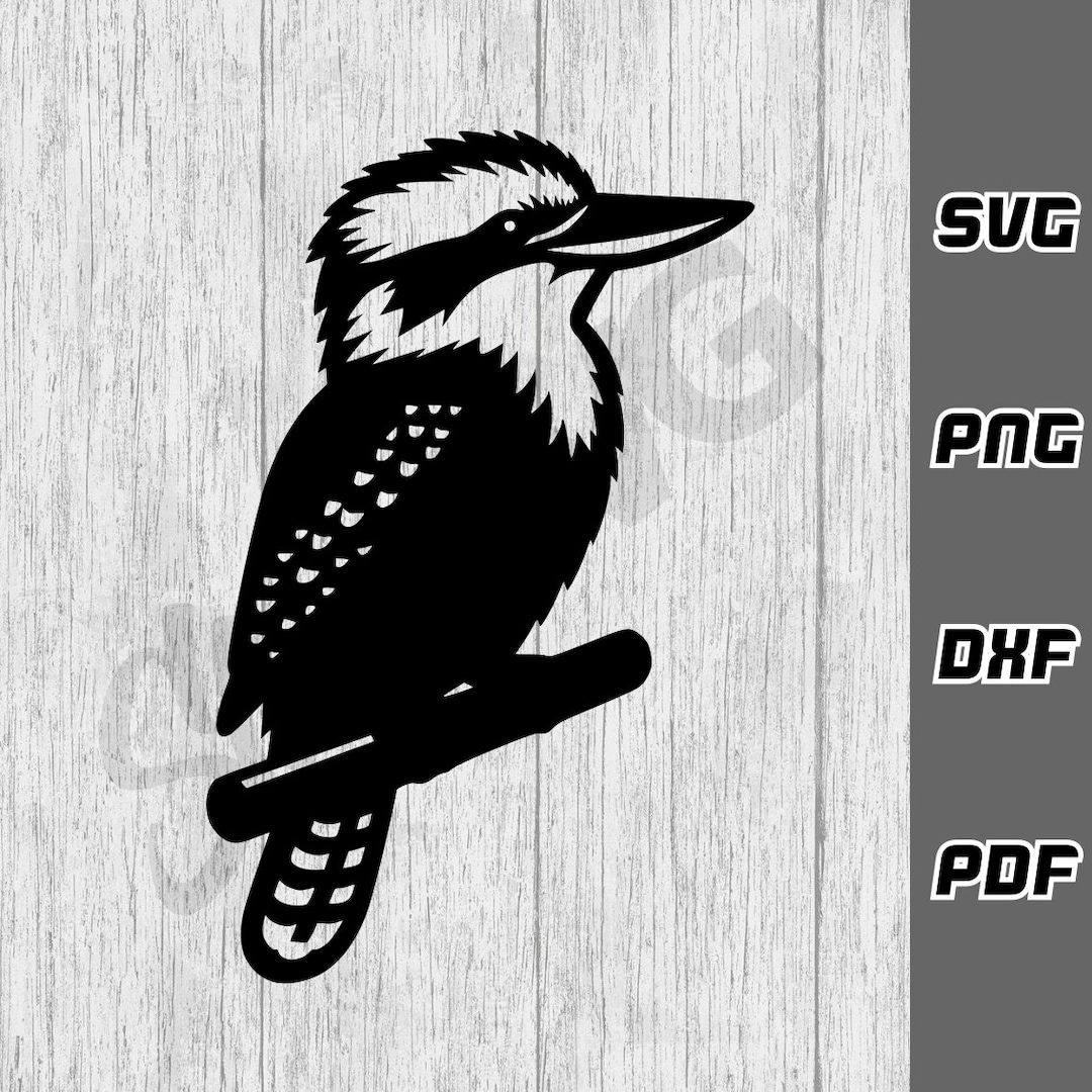Kookaburra SVG - Png - Dxf - Pdf - Cricut Cut File - Bird Svg ...