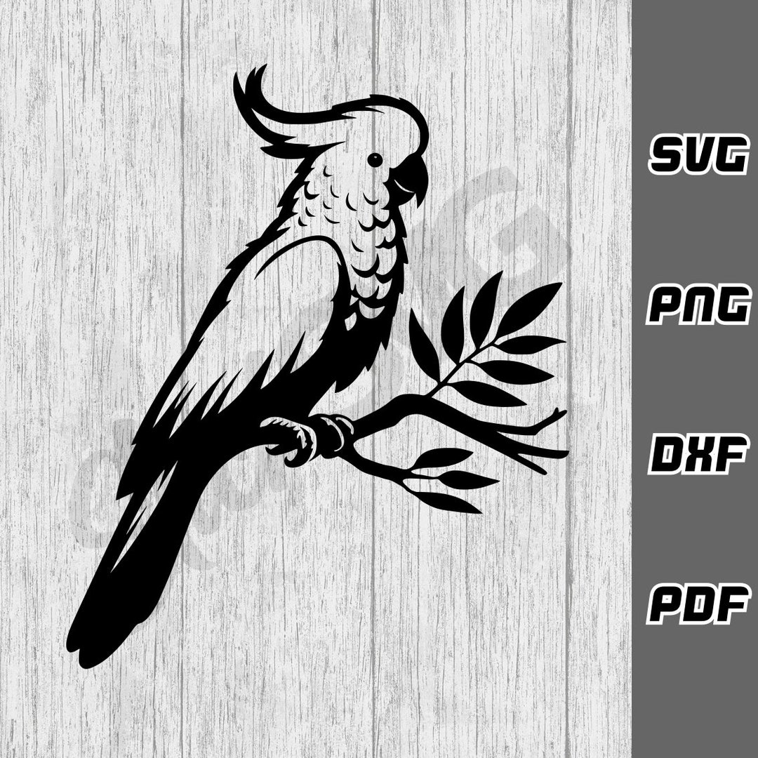 Cockatoo SVG - Png - Dxf - Pdf - Cricut Cut File - Bird Svg - Cocky Svg ...