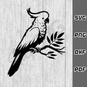 Cockatoo SVG - Png - Dxf - Pdf - Cricut Cut File - Bird Svg - Cocky Svg ...