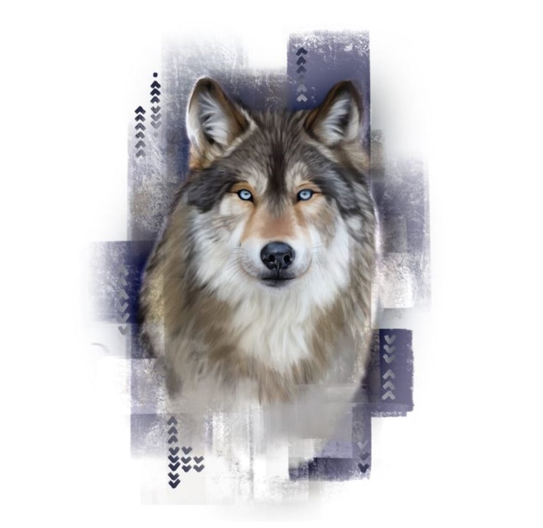 Cassoliv Coupon Wolf Stoff aus kurzem Samt 322g/m2 - Etsy.de