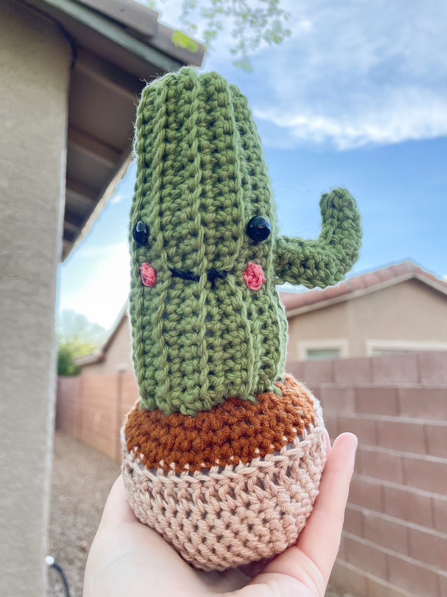 Cactus Plush, Crochet Cactus, Cactus Stuffed Animal, Cactus Plushie ...