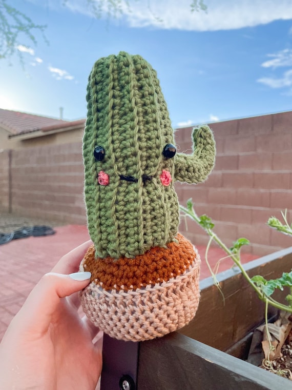 Cactus Plush Crochet Cactus Cactus Stuffed Animal - Etsy