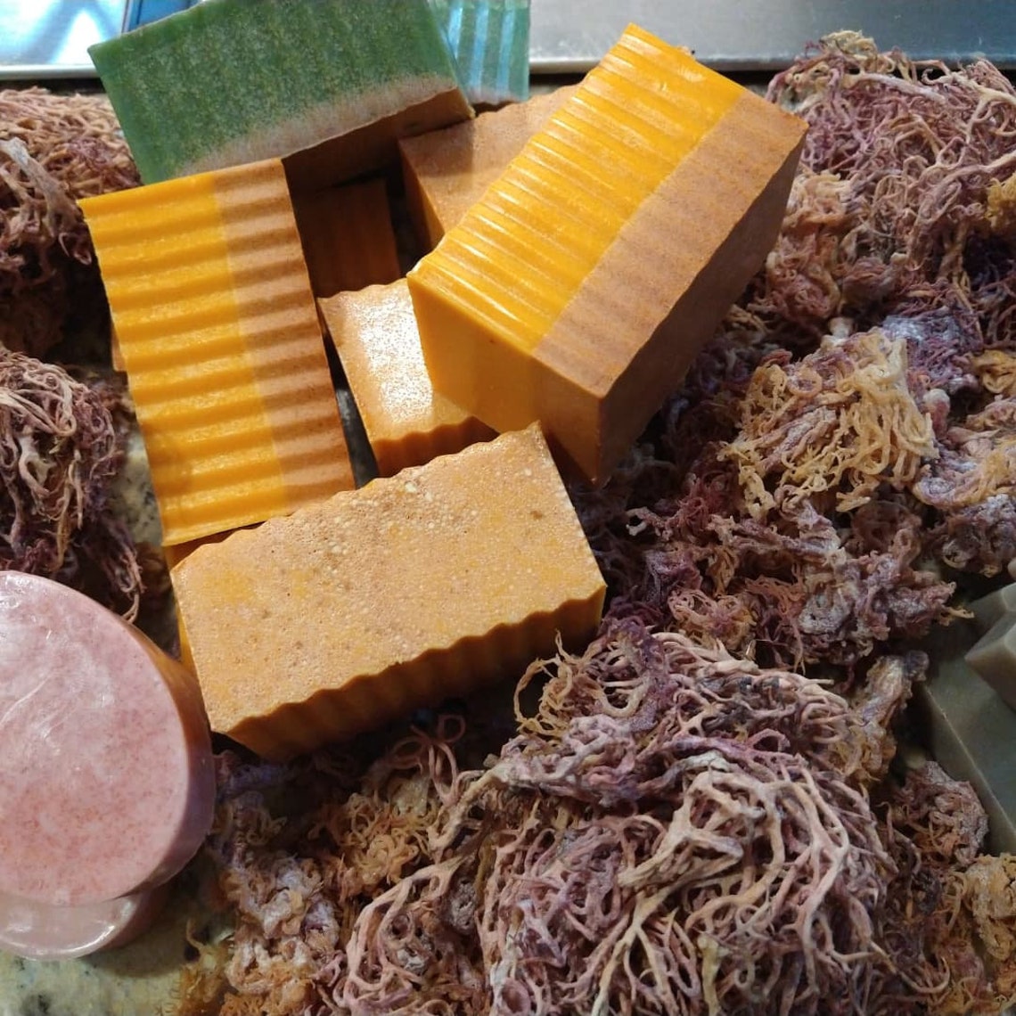 Mother Earth's Sea Moss Soap/shampoo Bars - Etsy