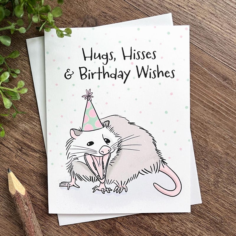 Opossum Birthday - Etsy