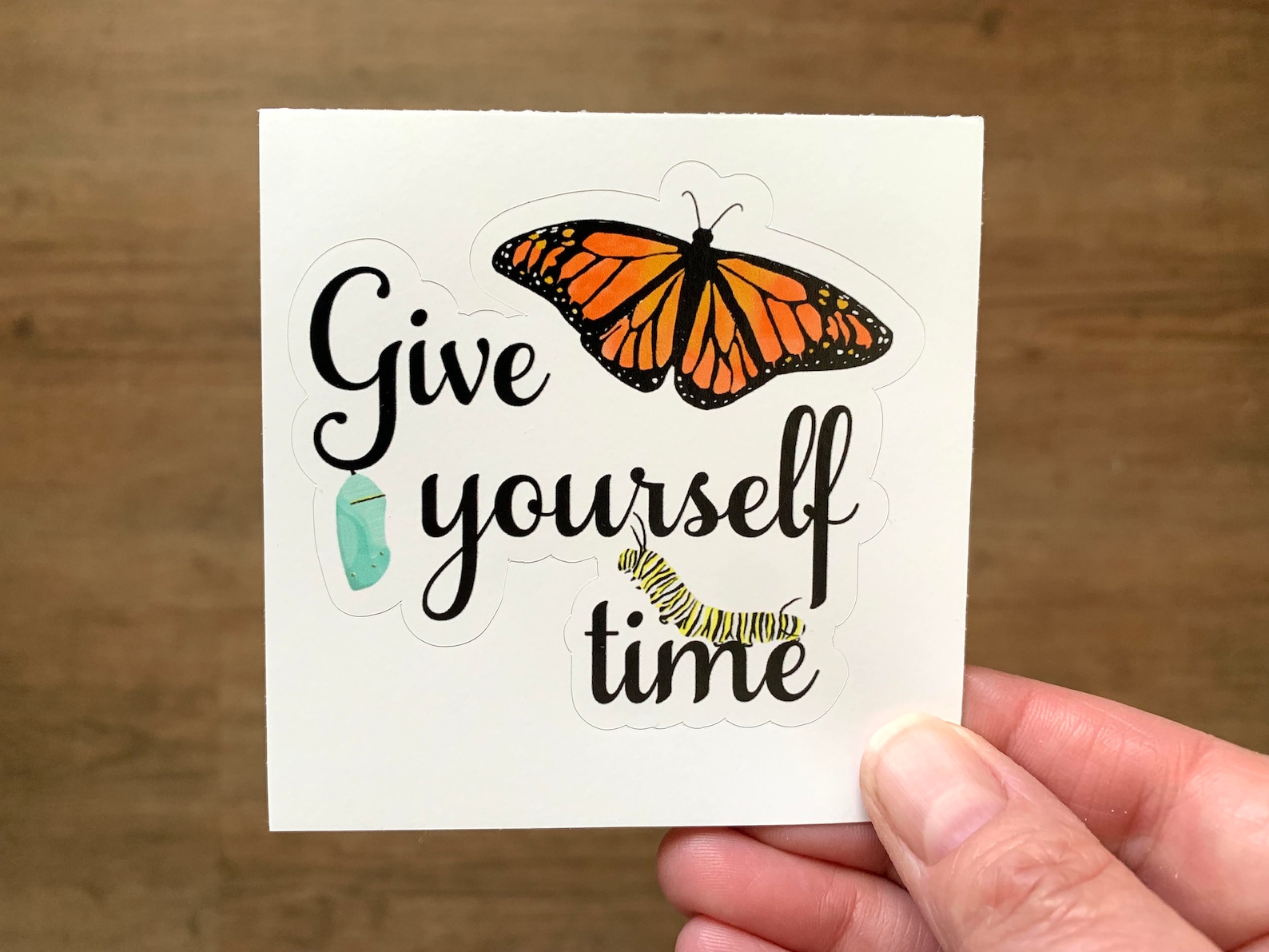 Monarch Butterfly Life Cycle Sticker: Inspirational Quote, Waterproof ...
