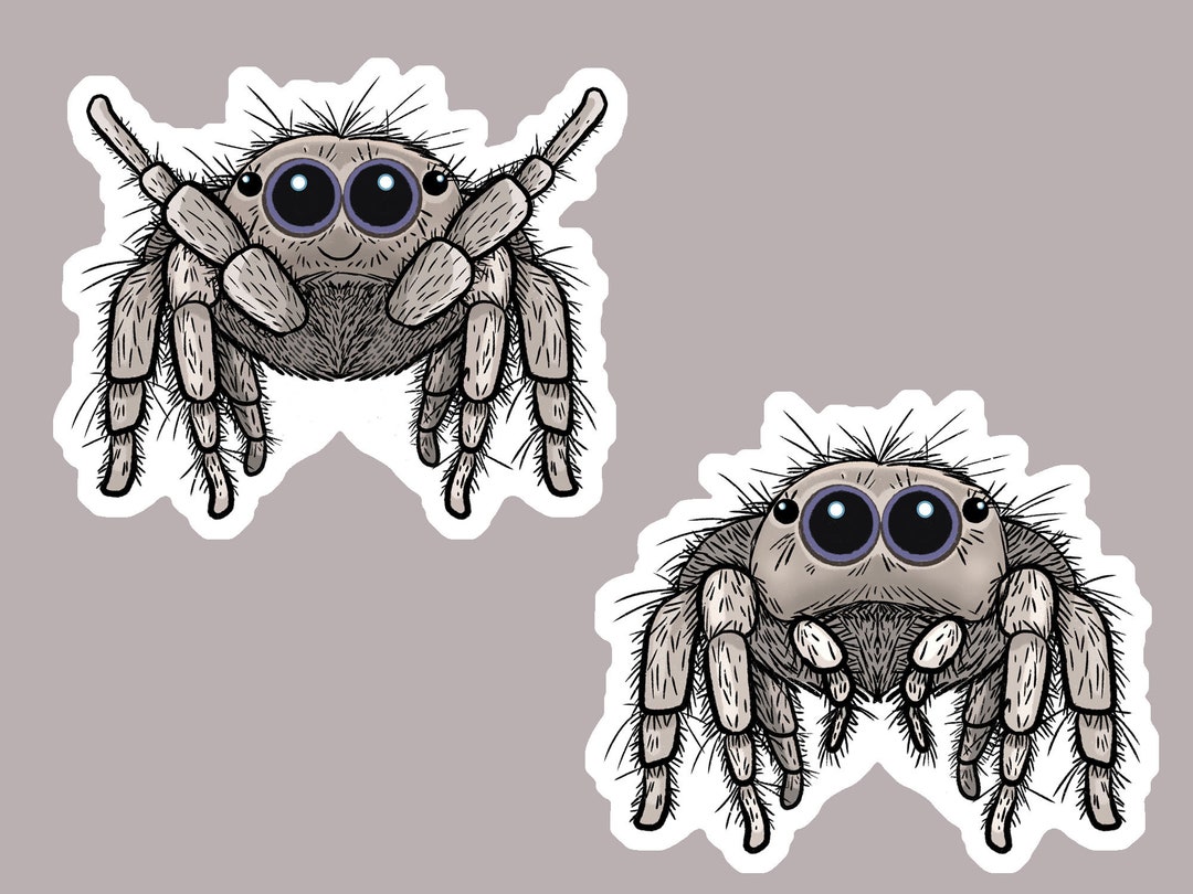 Cute Fuzzy Jumping Spider Vinyl Sticker | Arachnid Laptop Stickers ...