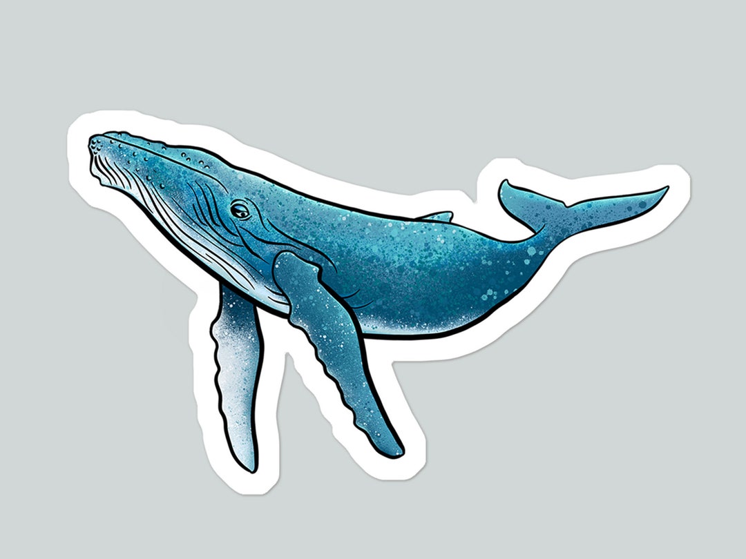 Humpback Whale Vinyl Sticker: Ocean Life, Laptop Decal - Etsy