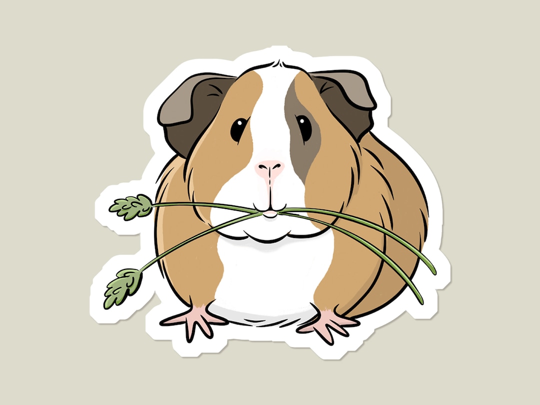 Guinea Pig Vinyl Sticker | Cavy Lover Laptop Sticker | Cute Animal ...
